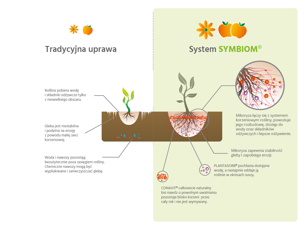 Symbiom - najlepsze produkty dla wszystkich sadowników, winiarzy i rolników